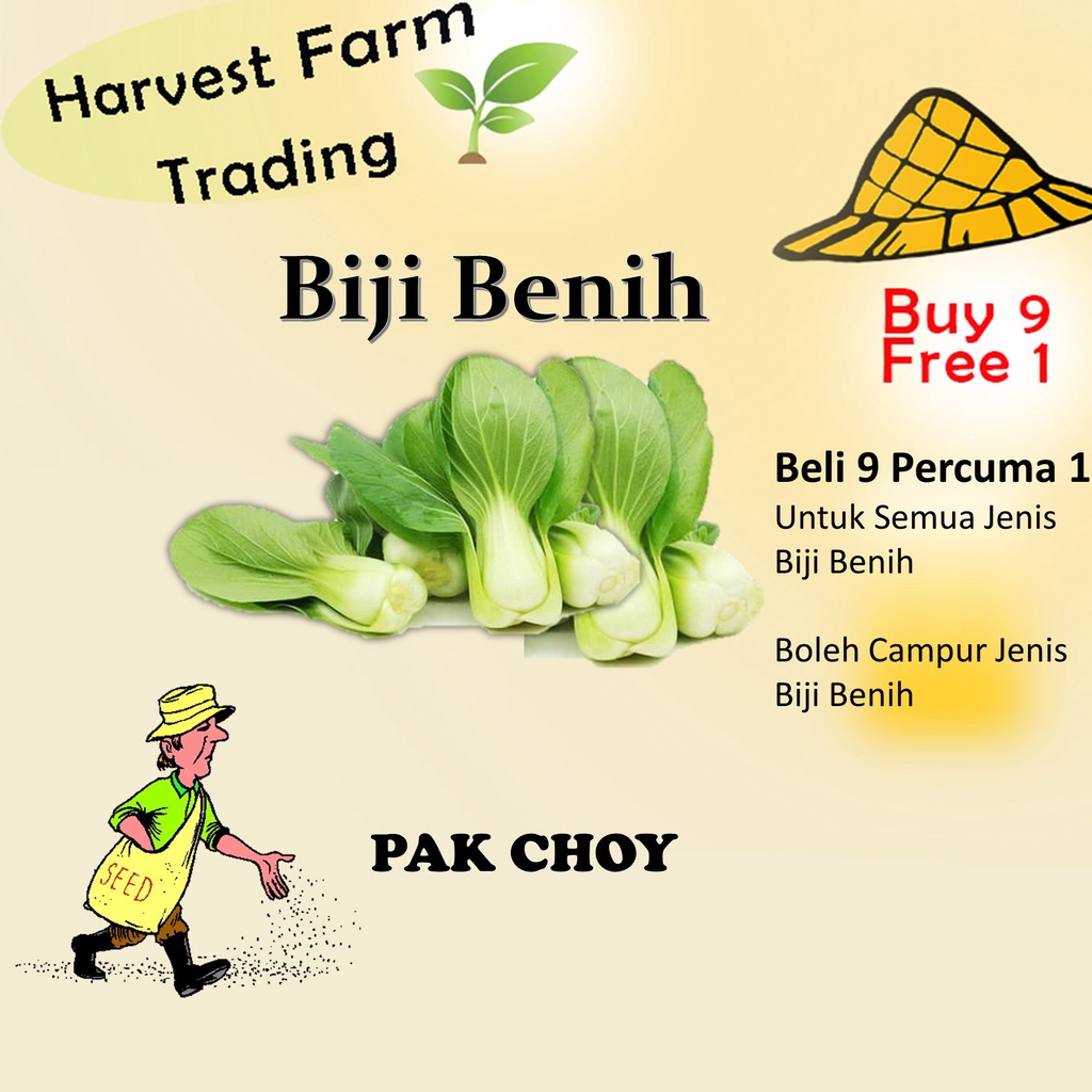 Pak Choy 500pcs Vegetable Seeds BIJI BENIH SAYUR/BUNGA/SAWI SEEDS ...
