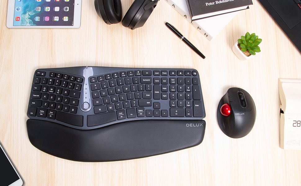 Delux MT1 White Wireless Ergonomic Removeable Trackball Mouse ...