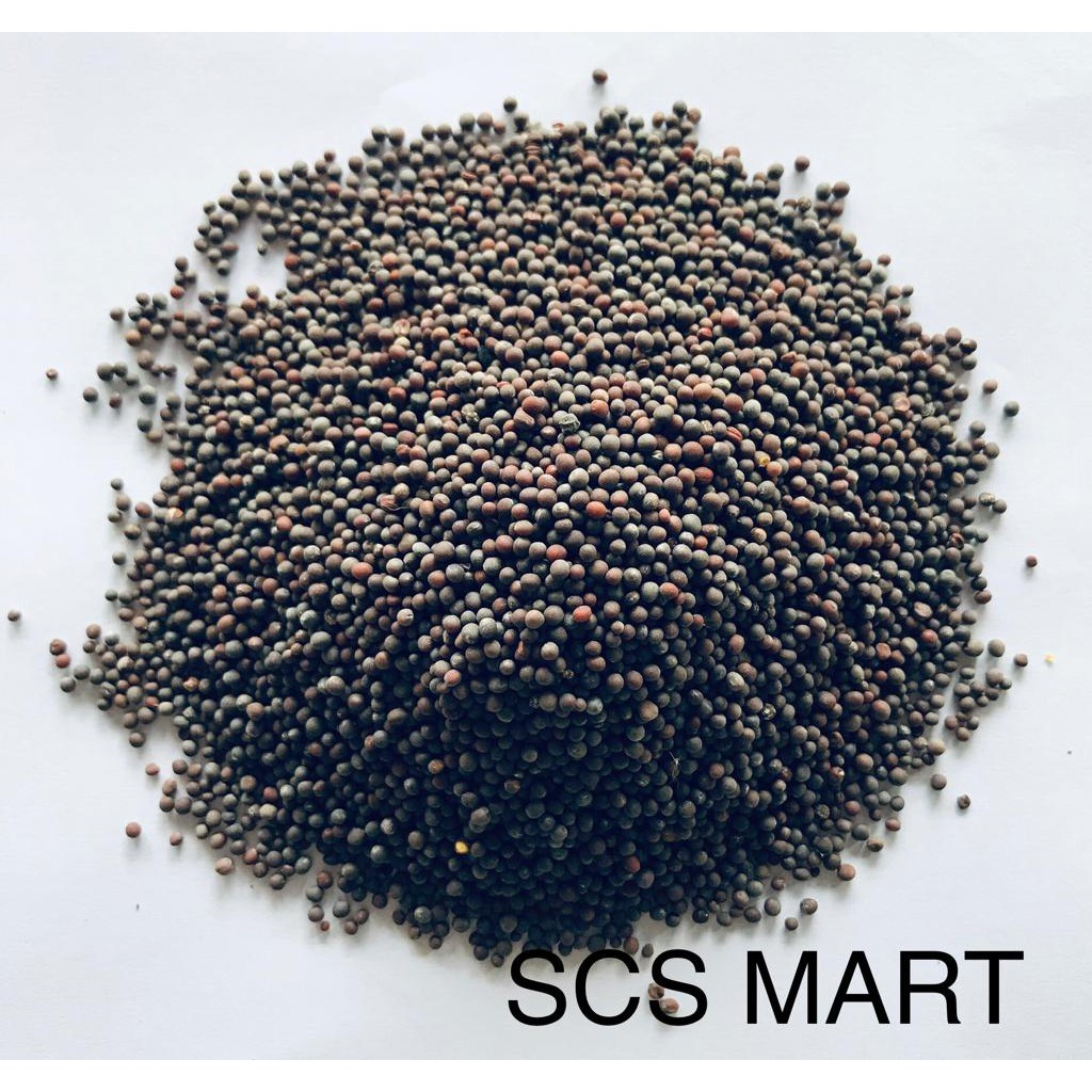 Mustard Seed 1kg Biji Sawi | Shopee Malaysia