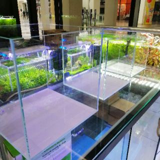 Crystal Glass / Super Clear Glass Cube Aquarium Tank 15cm / 20cm / 25cm ...