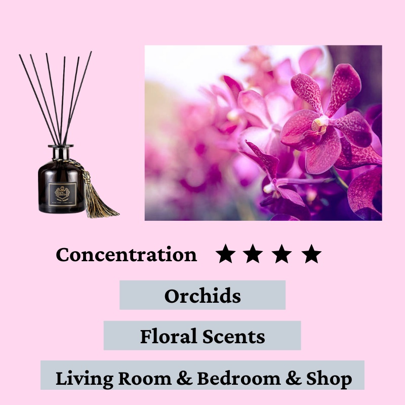 BUY 1 FREE 1 Hotel Premium Essential Oil Reed Diffuser Room Fragrance ...