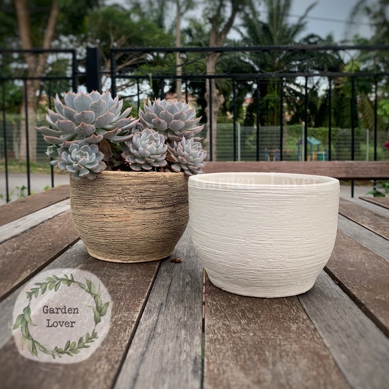 Succulent Pot Flower Pot Round Pot (M) 多肉盆花盆陶瓷盆 Pasu Sukulen Pasu Bunga ...