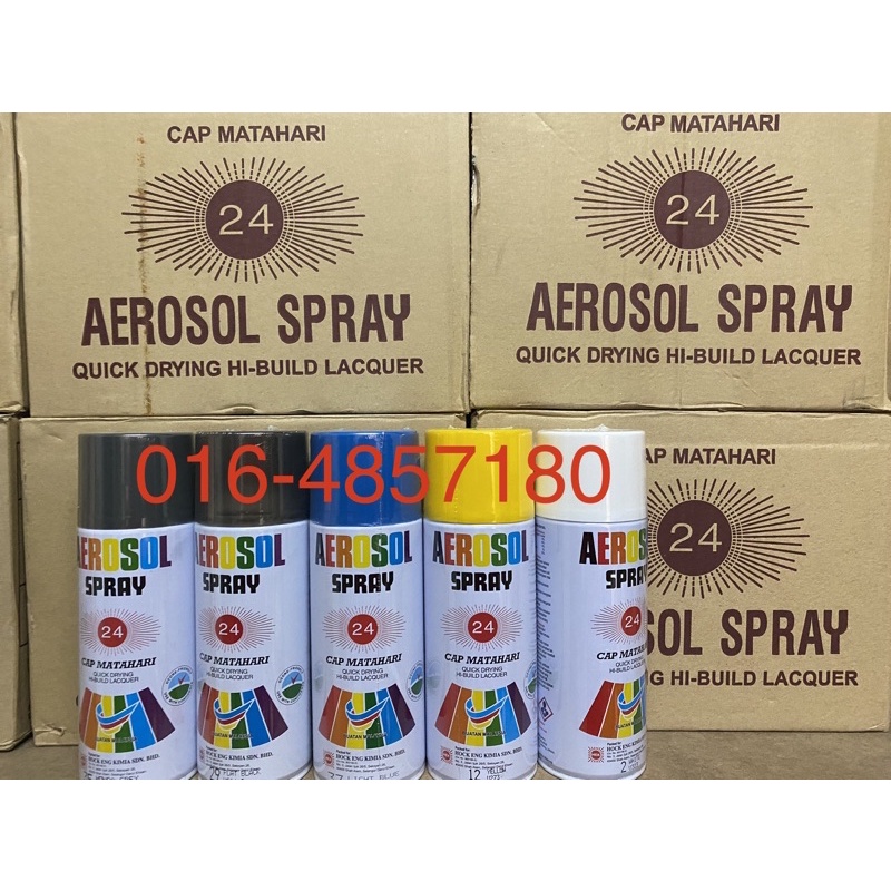 SAMURAI & MATAHARI BRAND AEROSOL SPRAY PAINT | Shopee Malaysia