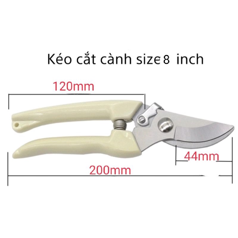 Pruning Scissors, Multi-Purpose Cutting size 8 inch | Shopee Malaysia
