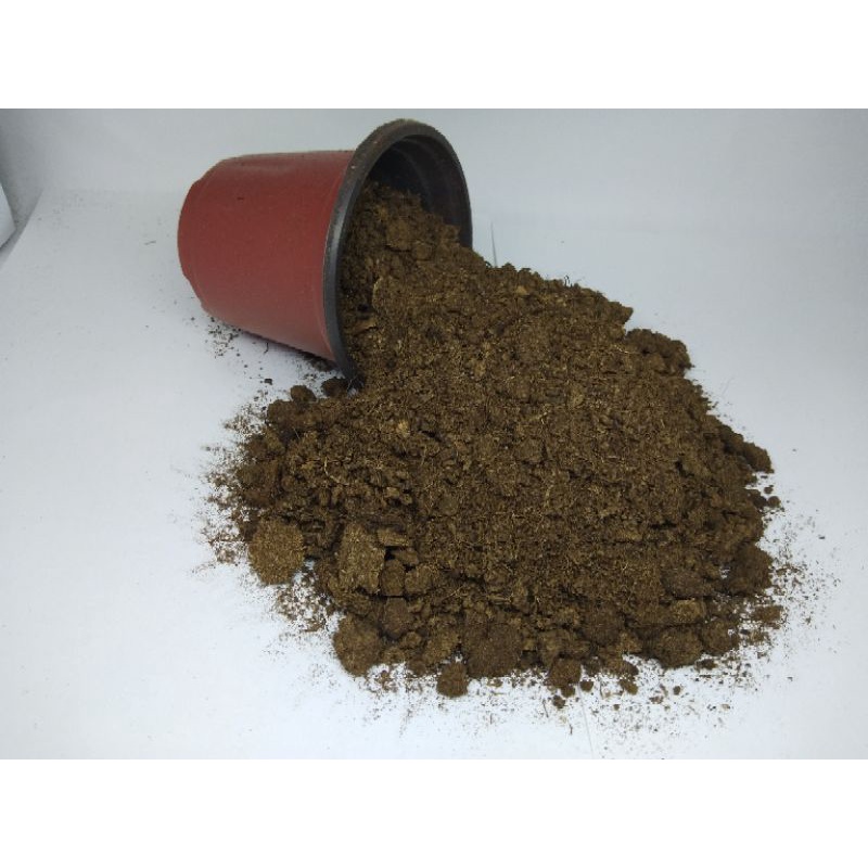 Pindstrup peat moss 10~30mm 1L/品氏泥炭 10~30mm 1升#plant#gardening#soil# ...