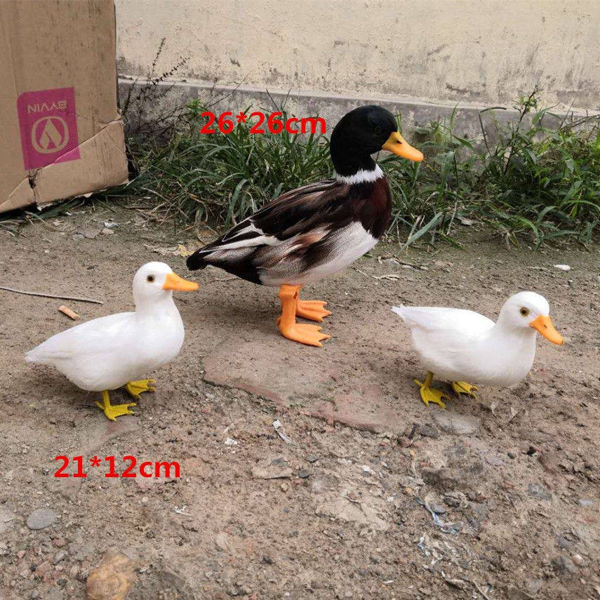 Model itik simulasi sains kognitif dan pendidikan kanak-kanak alat ...