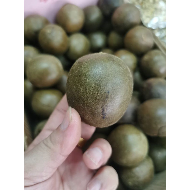 罗汉果(大粒 XL size) Luo Hang Guo | Shopee Malaysia