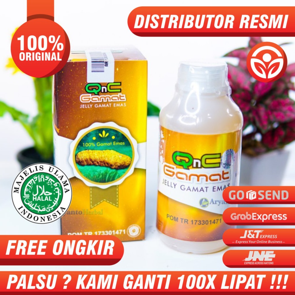 Medicine In Rib Bones - Rib Bones Ngilu With QNC JELLY GAMAT Herbals ...
