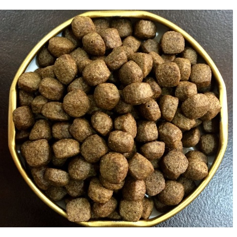 Icats icat iCats Super Premium Cat Food Mother Baby 1KG / Adult Fit 32 ...