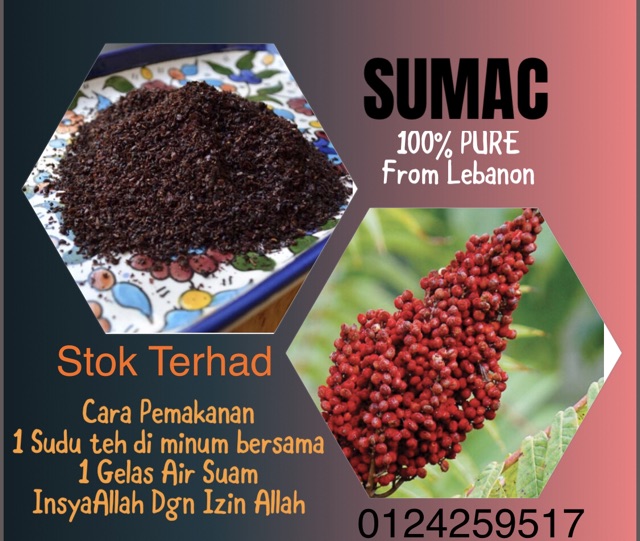 🔥ANTI VIRUS🔥 fresh Red Sumac gred AA pure from turkey | Shopee Malaysia