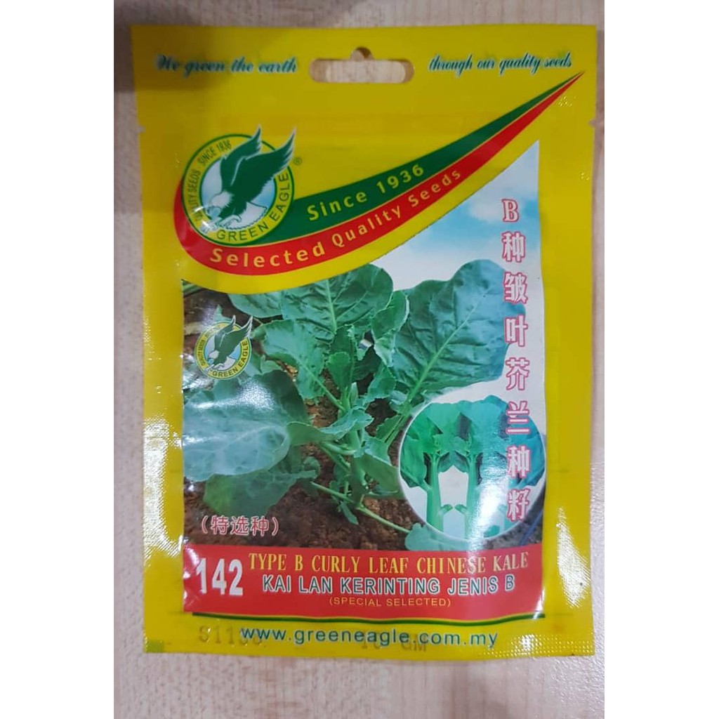 🌱KAI LAN KERINTING 🌱 CURLY LEAF CHINESE KALE SEEDS BENIH BERKUALITI ...