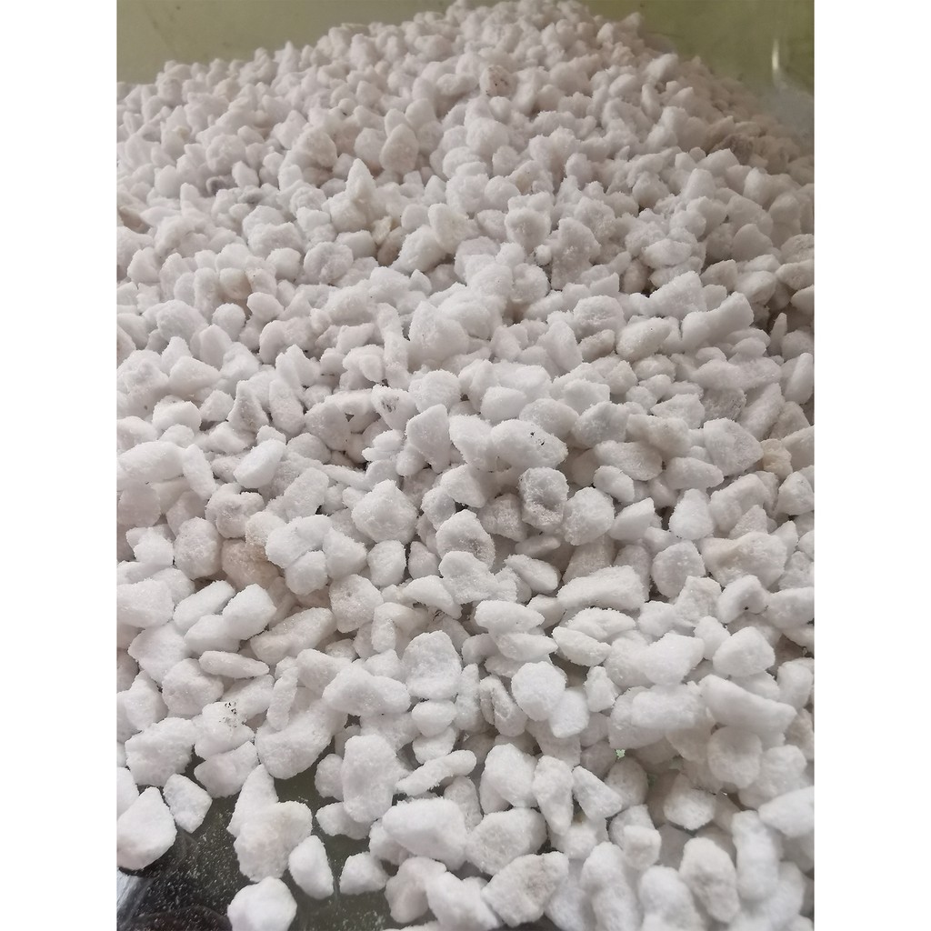 Perlite (1L) 3-6mm for Cactus, Succulents, Potting Media Keladi Viral ...