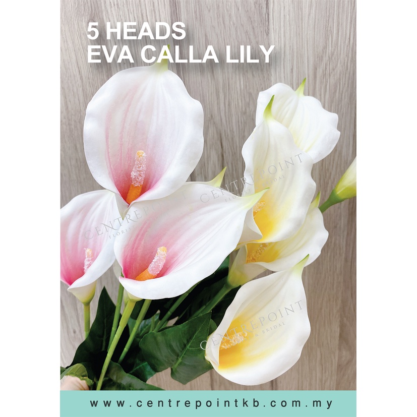 5 Heads Eva Calla Lily / Bunga Lily | Shopee Malaysia