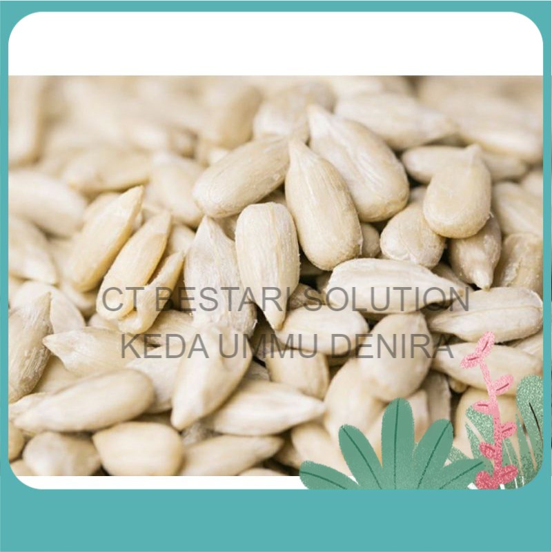 Fried Sun Flower Seed Kuaci Boleh Terus Makan | Shopee Malaysia