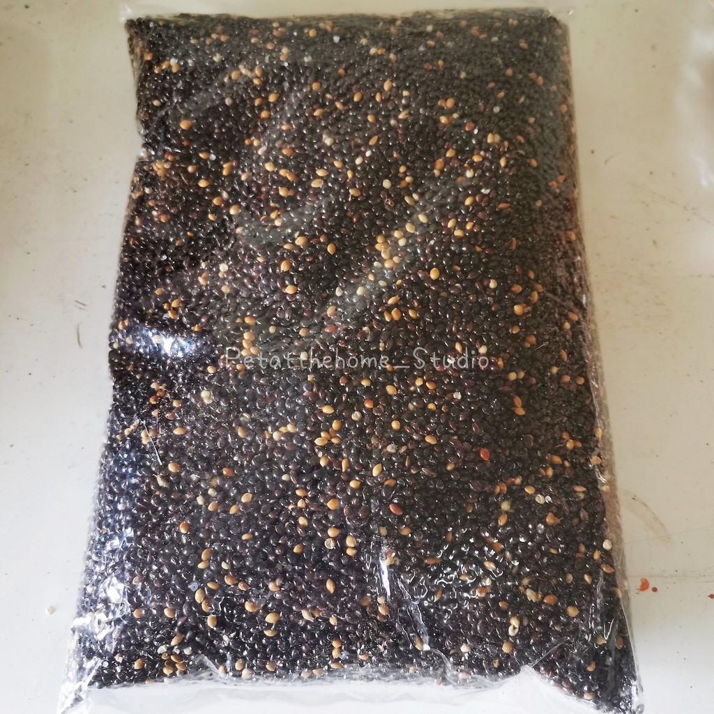 Sambau Putih Sambau Kuning/Hijau/Merah/Hitam Makanan Burung 1KG Millet ...