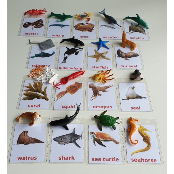 Early learning Toy Marine Life Animal Model Naming Cards for Montessori ...