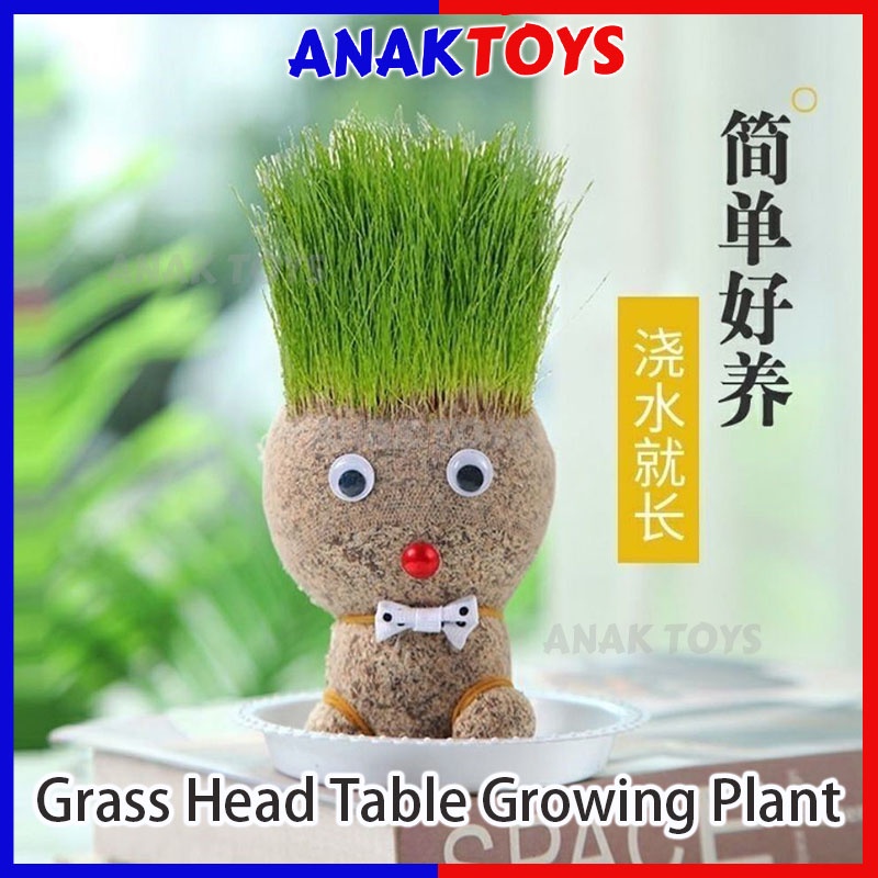 Kids Cute Grass Head Doll Big Eyed Flat Headed Rye Grass Office Desktop ...