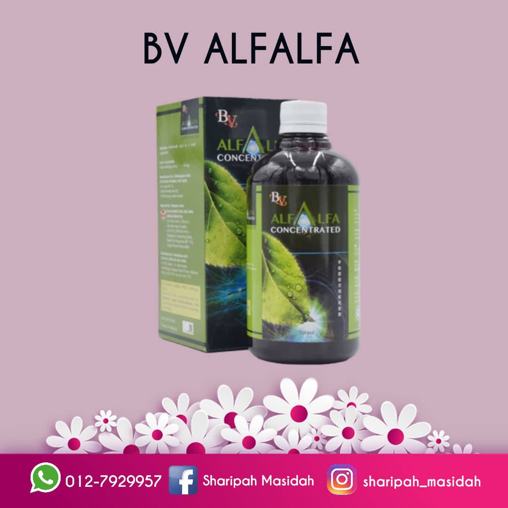 Ubat Gout, kuatkan antibodi, pengganti sayur ( BV Alfalfa ) | Shopee ...
