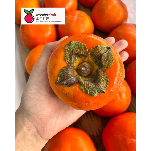 WONDER FRUITS - FRESH SEASONAL IMPORTED FRUITS / BUAH IMPORT 季节进口水果 ...