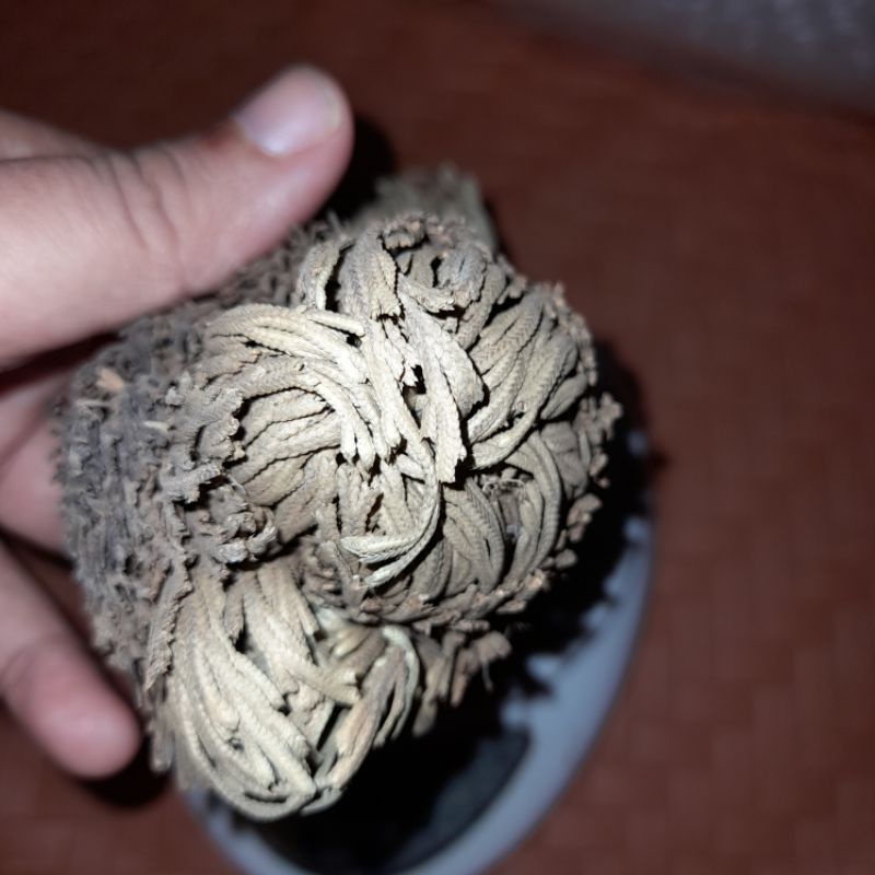 Gengam Fatimah 1pack 50g | Shopee Malaysia