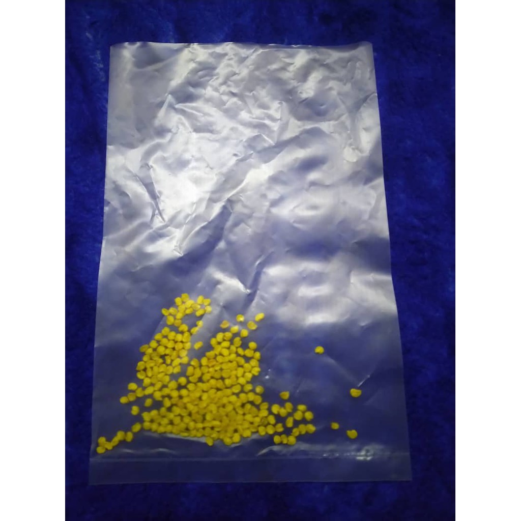 BENIH CILI API BARA PEDAS (HYBRID) | Shopee Malaysia