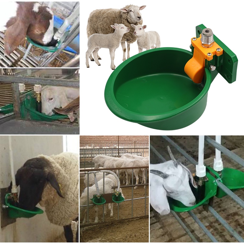 【Ready stock】Automatic Plastic Pig and Sheep Drinking Bowl Touch-type ...