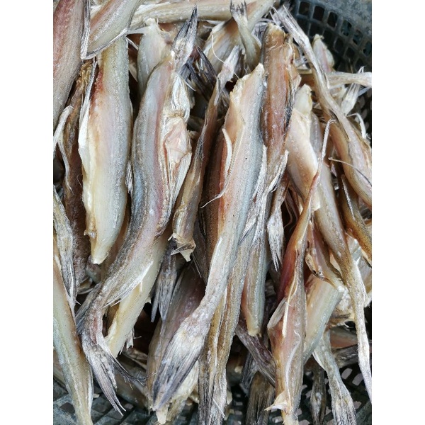 Ikan masin rumi 300g | Shopee Malaysia