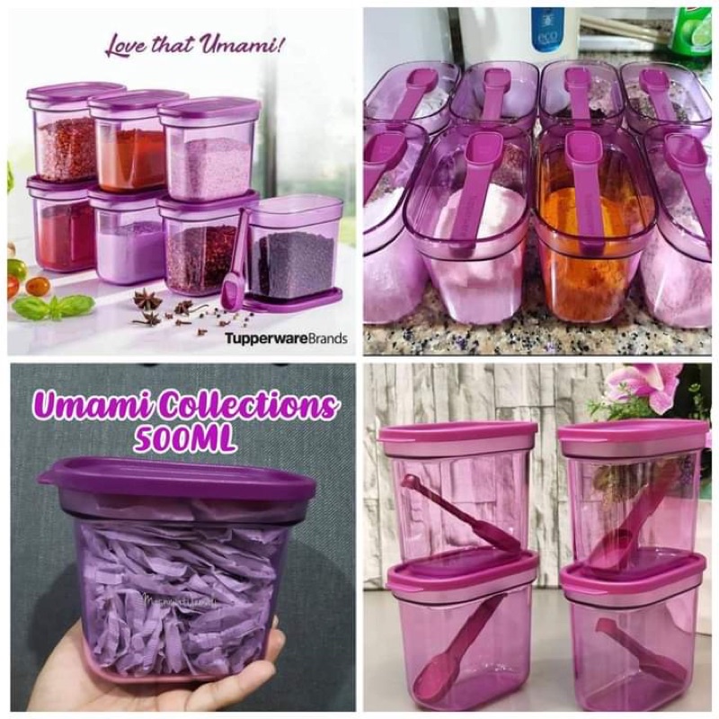 Tupperware Pink / Purple / Black / Merlot Umami Collection Spice Savers ...