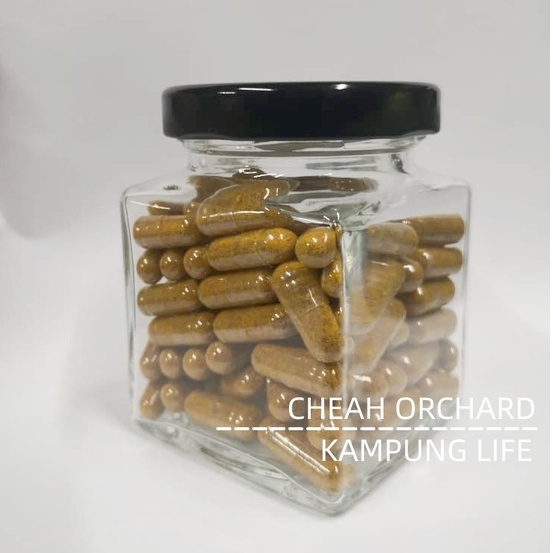 Stingless bees pollen (bee bread)/ Debunga kelulut/ 银蜂花粉 (100 capsules ...