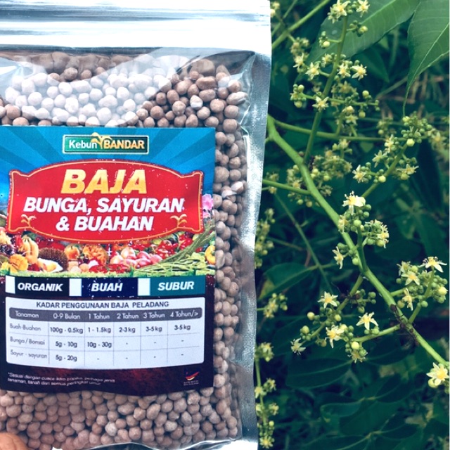 BAJA SUBUR POKOK BUAH SAYURAN BUNGA pack 100gram ( 20-30 pokok )🔥🔥🔥 ...