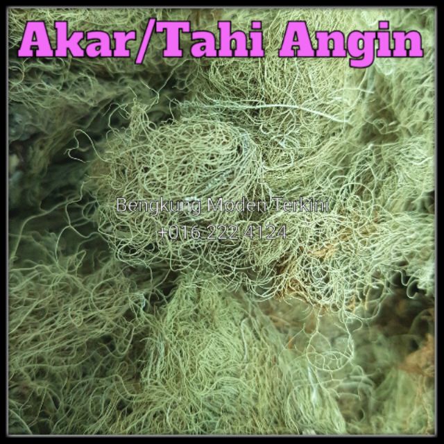 Tahi Angin/Akar Angin 50g & 100g | Shopee Malaysia