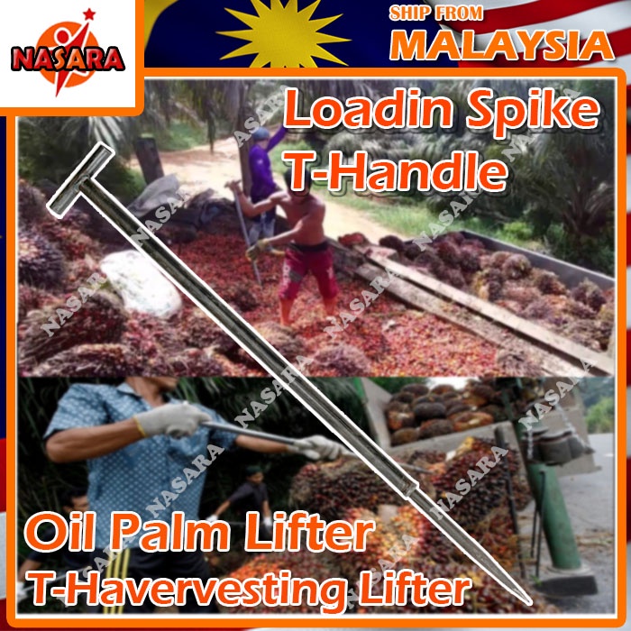 NASARA LOADING SPIKE AGRICULTURE OIL PALM HARVESTING TOOLS LOADING ...