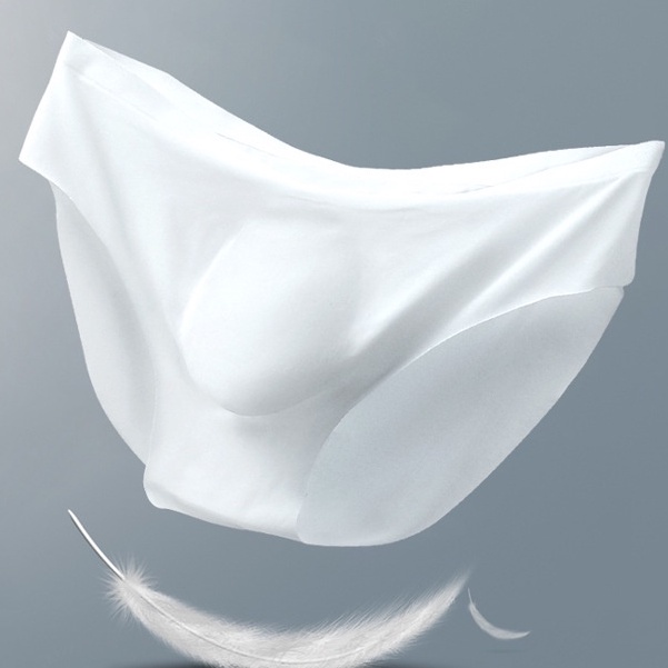 Mens Ice Silk Brief Ultra Thin Silky Underwear Translucent Men