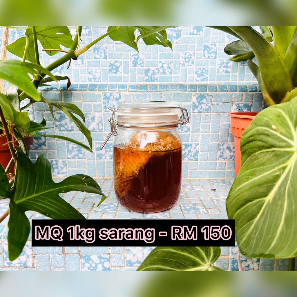 Madu Tualang Quad 1kg bersama Sarang Lebah Tualang Asli | Shopee Malaysia