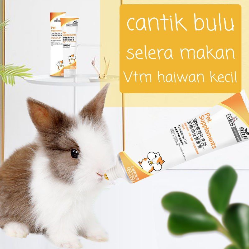 DORRIKEY pet supplement nutritional gel 80g vitamin for small animal ...