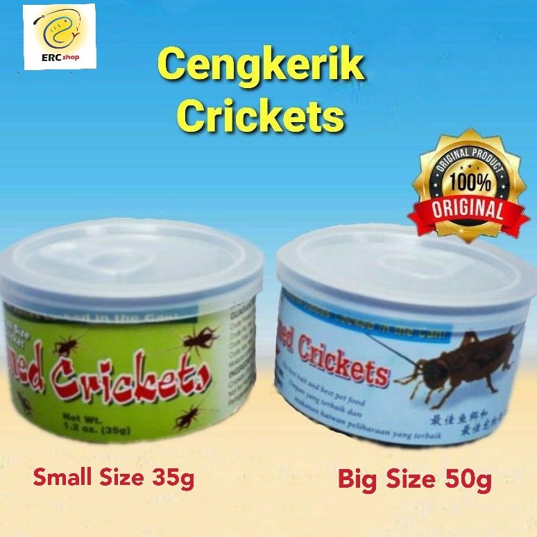 CANNED CRICKETS CENGKERIK KERING TIN 35G / 50G | Shopee Malaysia