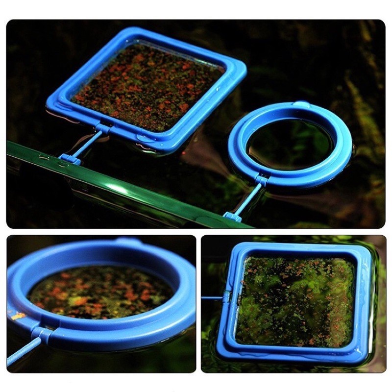🔥Ready Stock🔥Aquarium Buoyancy Fish Feeding Ring Floating Ring Fish ...