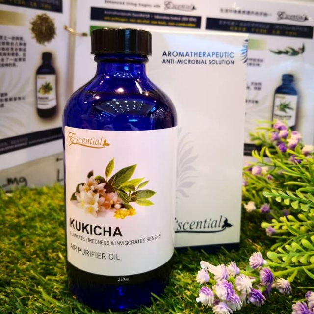 💛🌾Kukicha aromatherapy essential oil | Shopee Malaysia