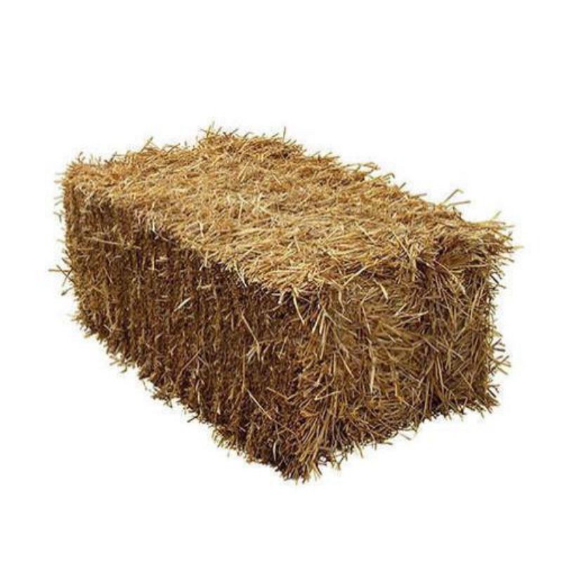 Jerami / Jerami Padi / Paddy Hay / Paddy Straw | Shopee Malaysia
