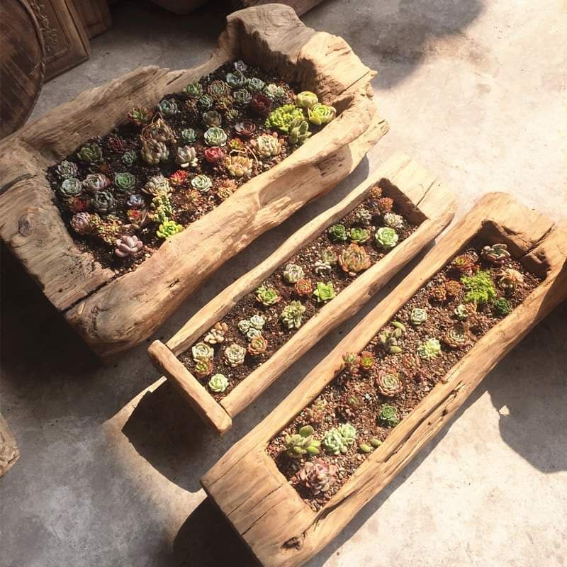 Pasu Sukulen Pasu Bunga，多肉花盆，实木木槽 ，多肉木槽 ，木头花盆 | Shopee Malaysia