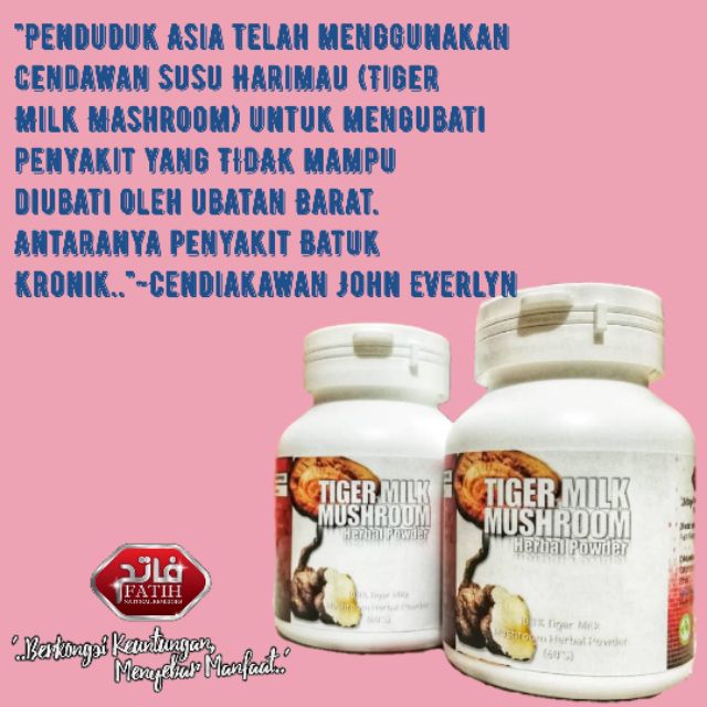 60biji ~Cendawan Susu Harimau /Tiger Milk Mushroom | Shopee Malaysia