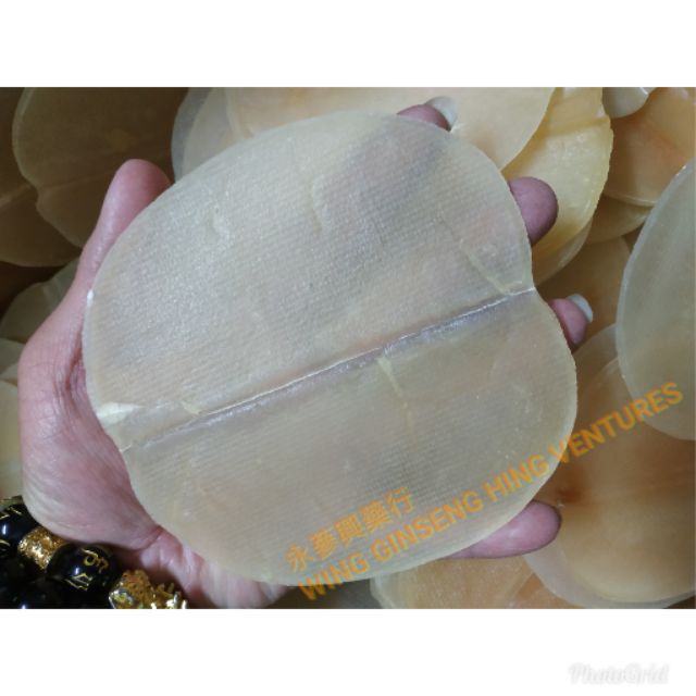 Dried Abalone Slice 特级鲍鱼片 特价 100gm 鲍鱼 大圆片 | Shopee Malaysia