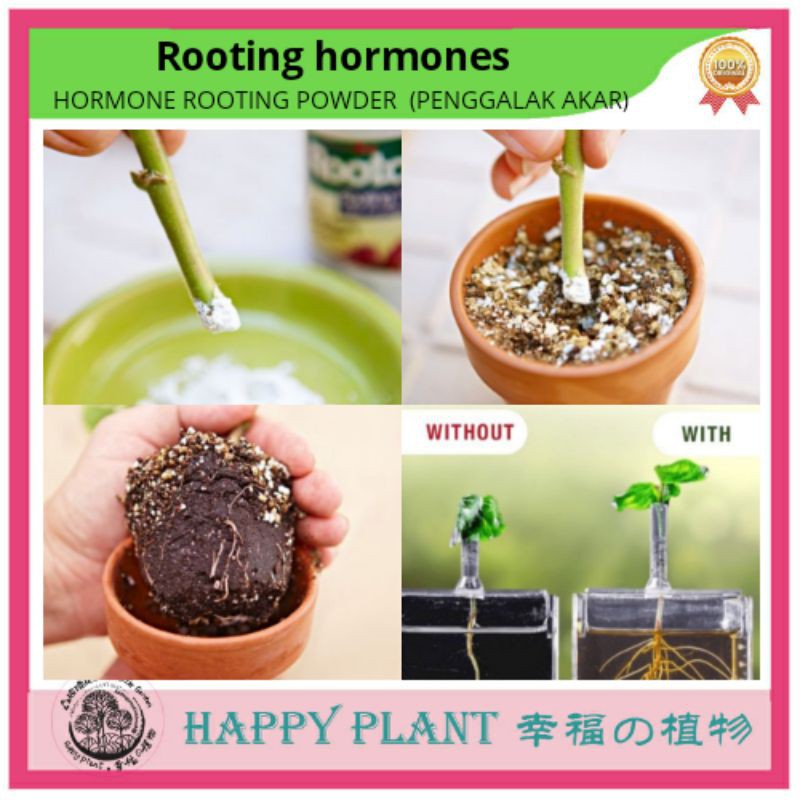 50gram Garden Rooting powder phosphate mix CIRP+ERP=ECIRP stimulate ...