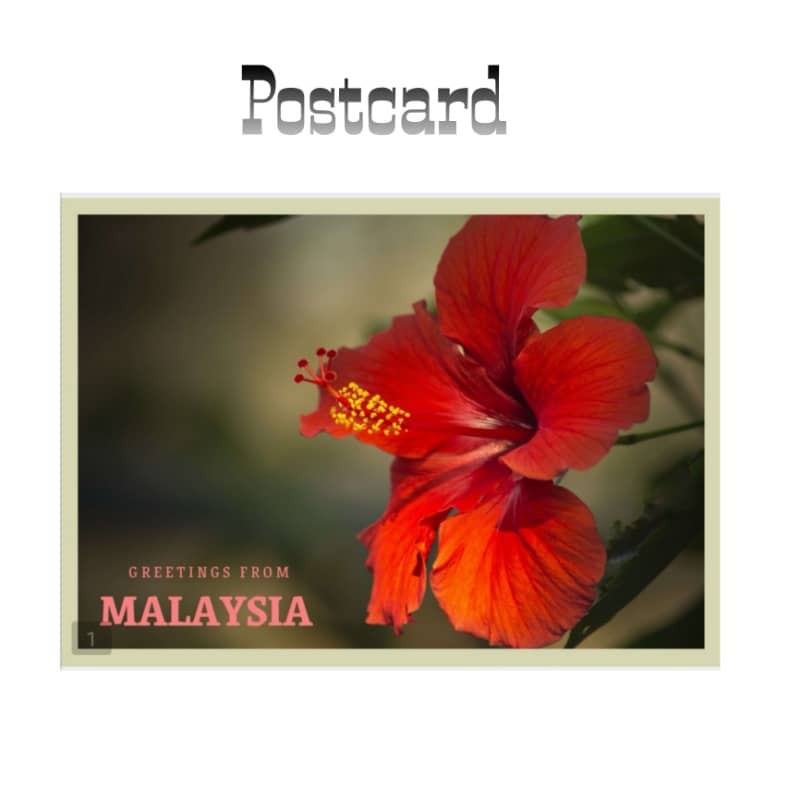 Hibiscus Poscard Red Flower Postcard Bunga Raya Bunga Kebangsaan ...
