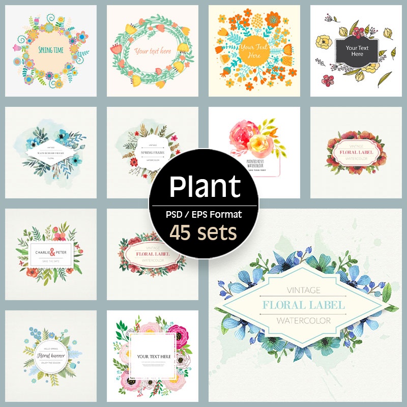 Plant Design Template Bundle Pack / Background / Frame / Pattern / Leaf ...