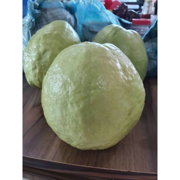 Jambu king Lohan.local jambu batu Vietnam | Shopee Malaysia