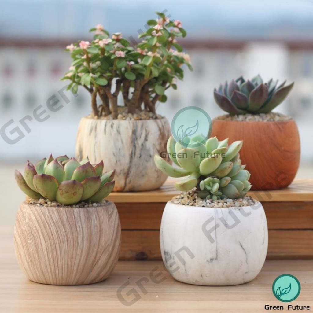 Succulent Pot Cactus Pot Ceramic Pot Zakka Minimalism Planter Pasu ...
