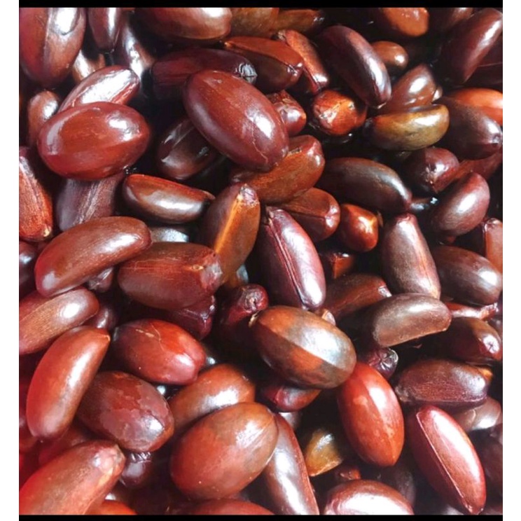 Buah perah mentah original pahang | Shopee Malaysia