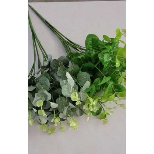 Duan Eucalyptus setangkai 16 daun /尤加利叶 ada warna hijau dan grey ...
