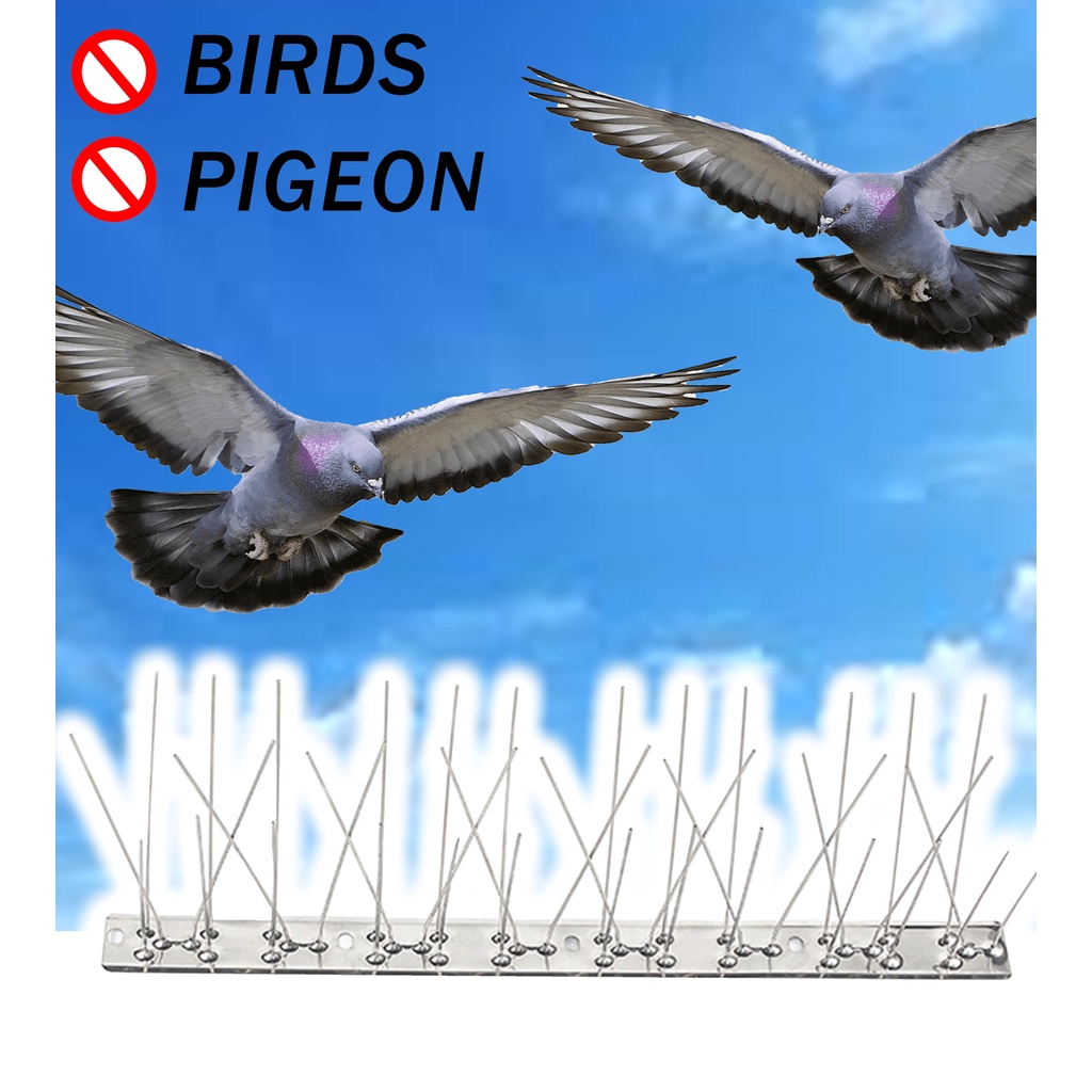 Bird Barrier Spikes Animal Repeller Chase Birds Landing Perch Repellent ...